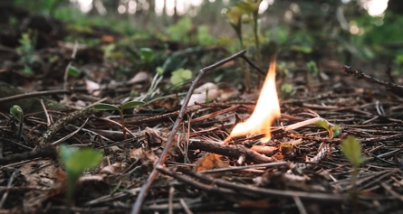 How Do Wildfires Start? | ServiceMaster Restore®