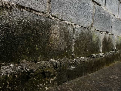 How to Find Underground Water Line Leaks in Miami Buildings